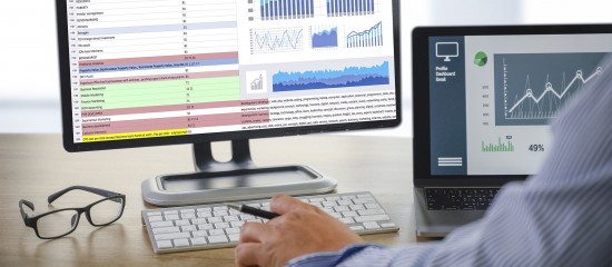 Vérification d’une comptabilité informatisée : quel niveau d ...